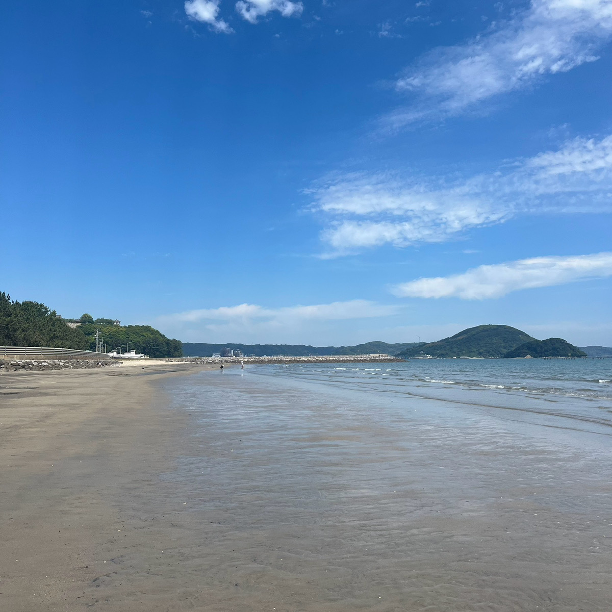 【スタッフBLOG☆ さきまる#5】大好きな姉とアサイーボウルを作る週末 | サジージュースのサジーワン│サジーベリー通販のSajiOne